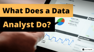 What Does a Data Analyst Do? - StackHowTo