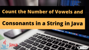 Program to Count the Number of Vowels and Consonants in a Given String in Java - StackHowTo