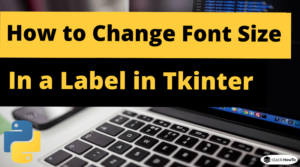 How to Change the Font Size in a Label in Tkinter Python - StackHowTo